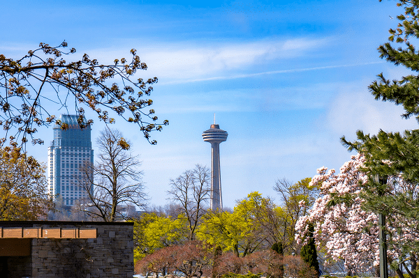 Thông tin University of Niagara Falls Canada: Ngành, học phí & đánh giá
